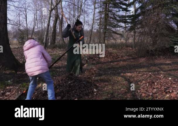 Steel rakes Stock Videos & Footage - HD and 4K Video Clips - Alamy