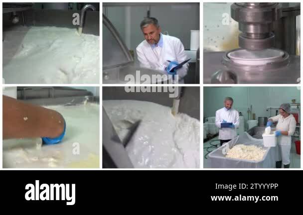 Dairy Product Manufacturing - Dairy Processing Plant - Multi Screen ...