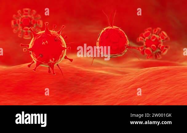 Bacteria microorganisms infographic set Stock Videos & Footage - HD and ...