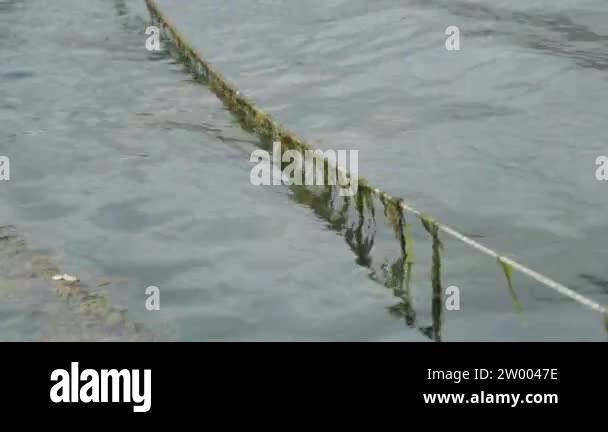 Tina black Stock Videos & Footage - HD and 4K Video Clips - Alamy