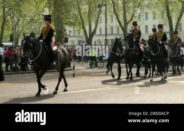 Kings guard buckingham palace Stock Videos & Footage - HD and 4K Video ...