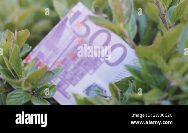 Money euro tree Stock Videos & Footage - HD and 4K Video Clips - Alamy