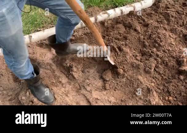 Farmer in rubber boots digging and flipping soil using shovel and ...