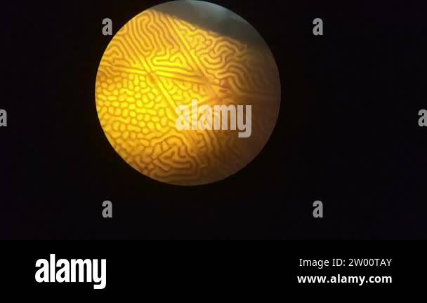 Magnetic domain under microscope magnification. Micro chip domain walls ...