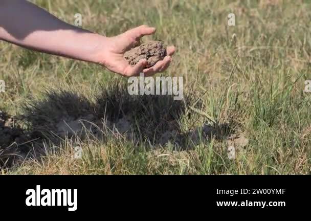 Female hand holding clump dust in meadow. Parched land without ...