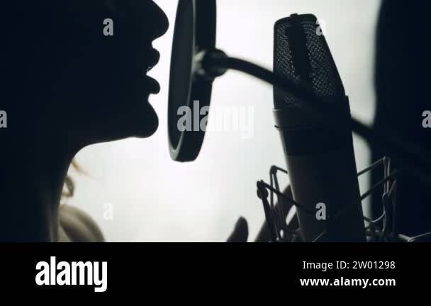 Lovely woman singing into the microphone in the recording studio ...