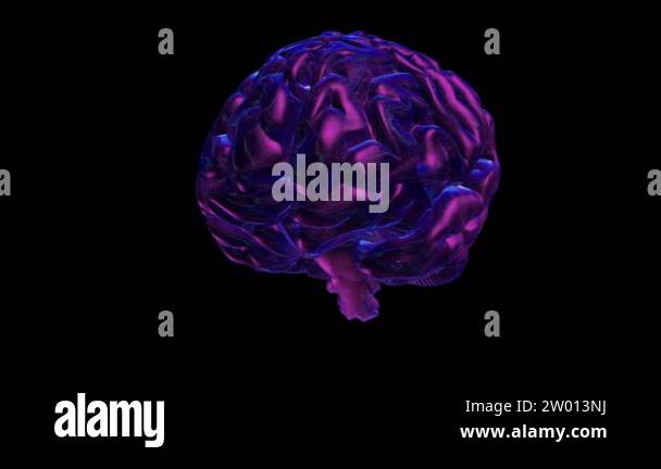 Cyclically rotating computer model of the human brain. Animation with ...