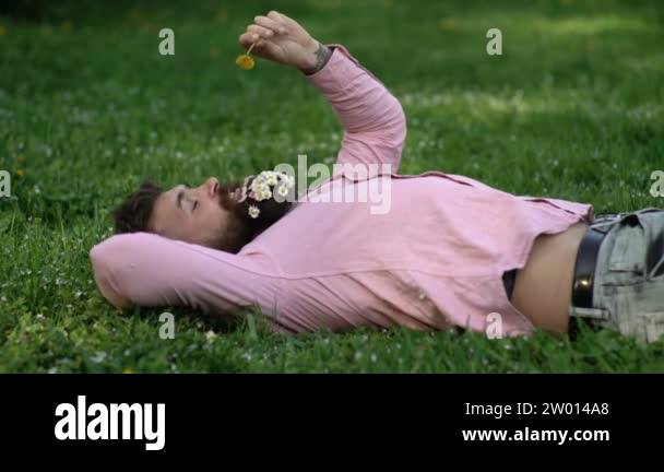 Dandelion peace tranquility flower Stock Videos & Footage - HD and 4K ...