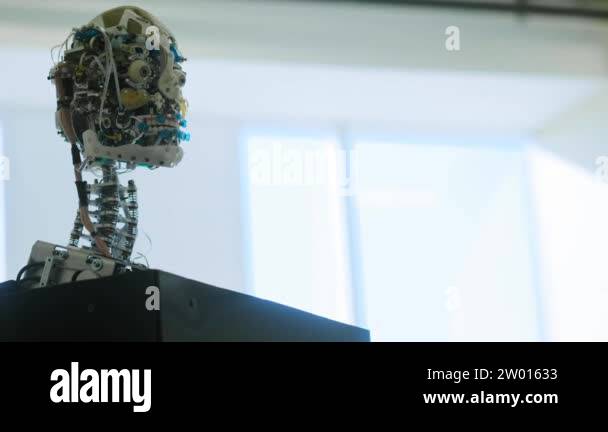 Humanoid robot man on stage. Innovative development in robotics and ...