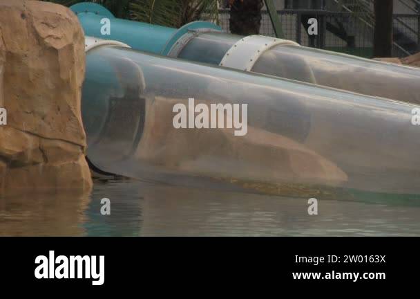 Close-up of People Sliding Down a Submerged Water Tube Slide into the ...