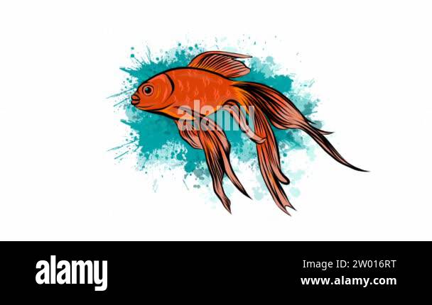Bright asian fish aquarium Stock Videos & Footage - HD and 4K Video ...