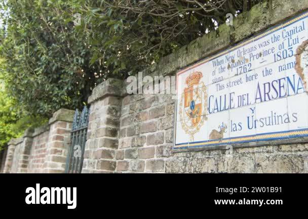 Old trees of historical interest Stock Videos & Footage - HD and 4K ...