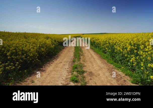 Field path in spring Stock Videos & Footage - HD and 4K Video Clips - Alamy