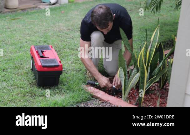 Plumber Man fixing Sprinkler Head in backyard. Grass Field Sprinklers ...