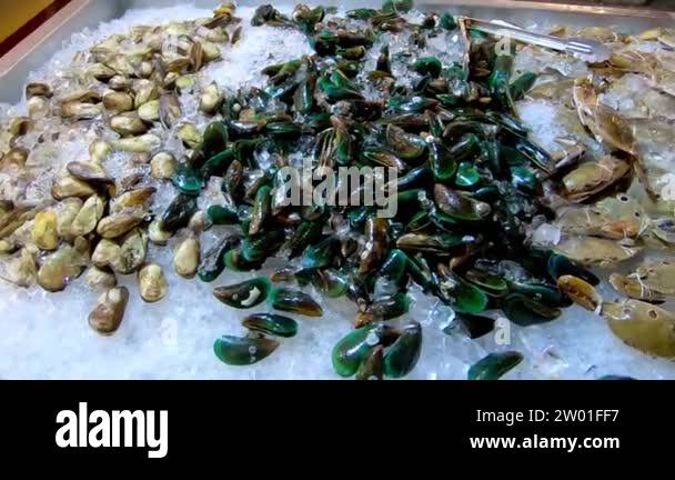 Horse sea crab Stock Videos & Footage - HD and 4K Video Clips - Alamy