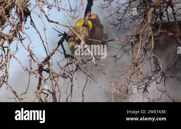 Fireman using axe for ventilation on involved roof Stock Video Footage ...