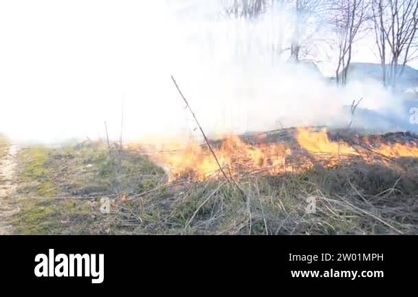 Fire landscape Stock Videos & Footage - HD and 4K Video Clips - Alamy