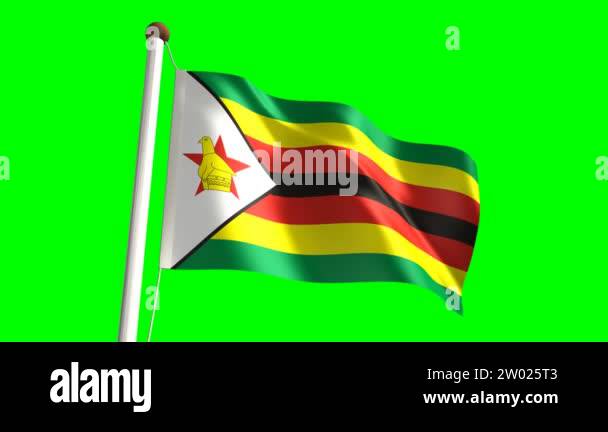 Zimbabwean flag Stock Videos & Footage - HD and 4K Video Clips - Alamy