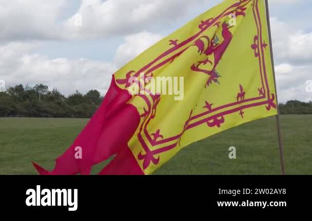 Medieval heraldic design Stock Videos & Footage - HD and 4K Video Clips ...