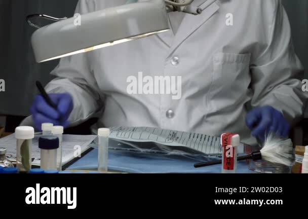 Scientific police examining bullet cap in ballistic Laboratory Stock ...