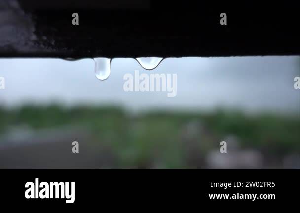 Drops of rain falling down, macro shot , shallow depth of field. Green ...