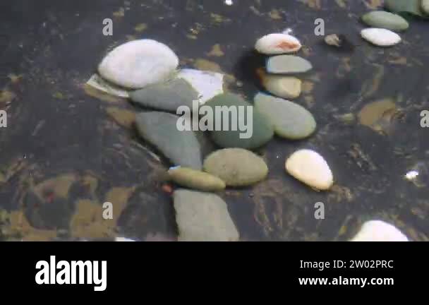 Pebble water feature Stock Videos & Footage - HD and 4K Video Clips - Alamy