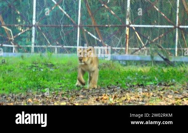 The National Zoological Park is a 176-acre zoo in New Delhi, India. A ...