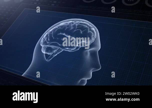 Medical UHD abstract animation. Laboratory dashboard interface 4K ...