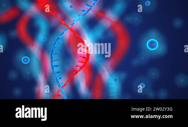 Abstract glittering DNA double helix with depth of field. Animation of ...