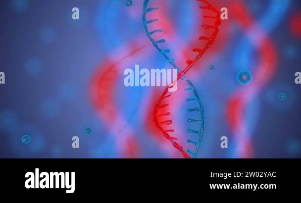 Abstract glittering DNA double helix with depth of field. Animation of ...