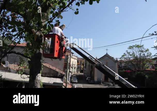 Tree pruning and sawing by a man with a chainsaw, standing on a ...