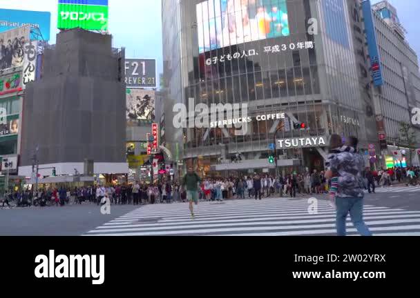 Pedestrians walking on downtown Shibuya Crossing in evening ( 4K UHD ...