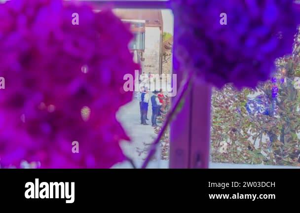 Pink gala Stock Videos & Footage - HD and 4K Video Clips - Alamy