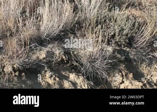 Extreme terrain Stock Videos & Footage - HD and 4K Video Clips - Alamy