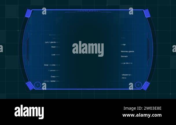 Internal Organs Diagram Animation Stock Video Footage - Alamy