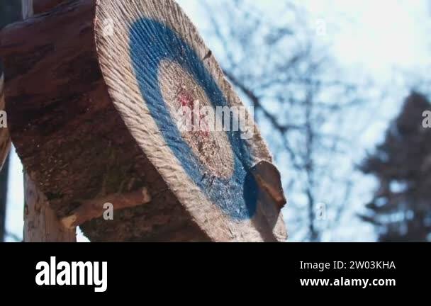 Axe throwing competition in Stock Videos & Footage - HD and 4K Video ...