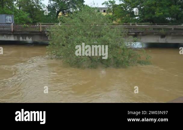 Rural farm flooding featuring farm house, on dry flooded fields Stock ...