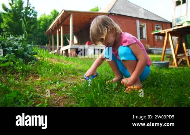 Girl cutting grass Stock Videos & Footage - HD and 4K Video Clips - Alamy