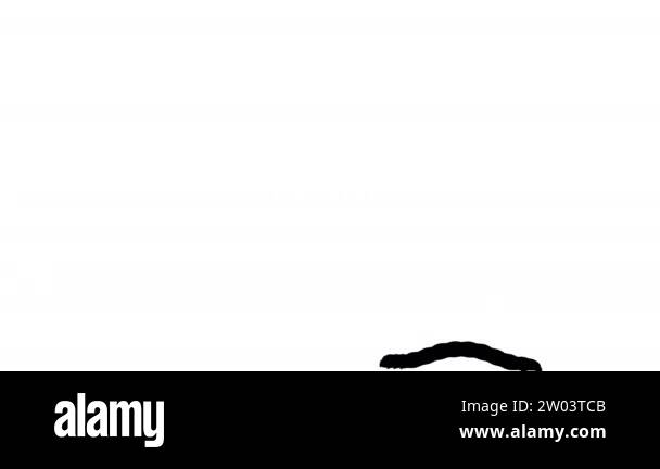 Caterpillar animation Stock Videos & Footage - HD and 4K Video Clips ...