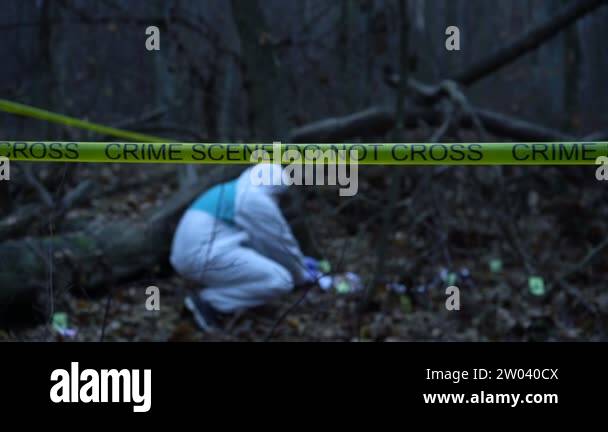 Crime scene in dark forest, forensic science expert working with ...