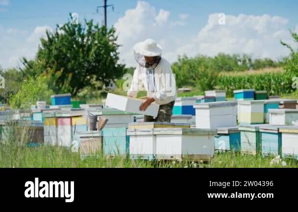 Young beekeeper working in the apiary. Beekeeping concept. Beekeeper ...