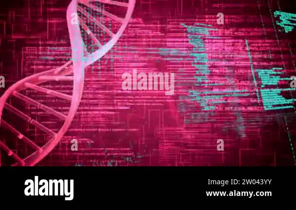 Digitally generated animation of pink DNA double helix rotating while digital codes and script ...