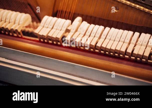 The mechanism of the piano works. The piano mechanism creates sound ...