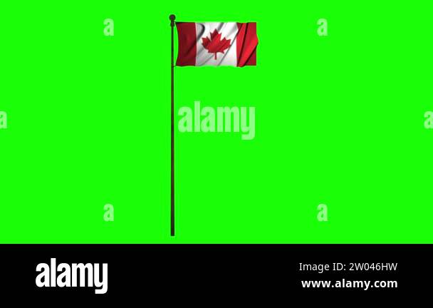 canada Animation Flag Animation Green Screen Animation canada Waving ...