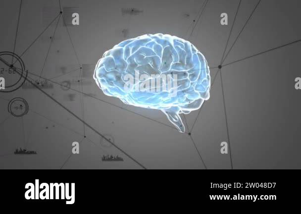 Digitally generated animation brain rotating while background shows graphs connected by ...