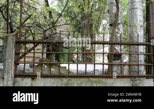 Blue metal gates Stock Videos & Footage - HD and 4K Video Clips - Alamy