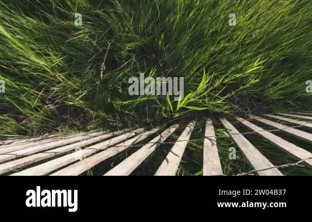 Rustic green wooden boards Stock Videos & Footage - HD and 4K Video ...