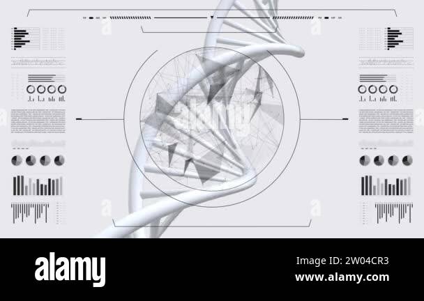 DNA structure - Deoxyribonucleic acid. 3D animation for medical ...
