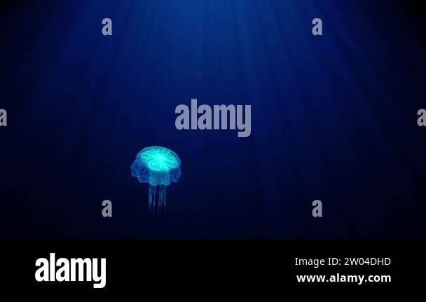 luminous transparent jellyfish slowly floats deep under water in the rays of light ...