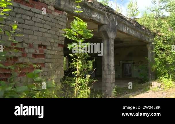 Derelict overgrown house tree Stock Videos & Footage - HD and 4K Video ...